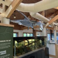 Color-Ad, Inc. – Signs and Exhibits